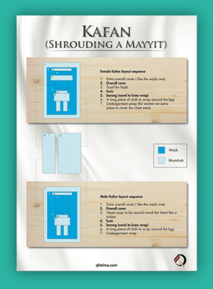 Seniors 12 to 16 years Publications – QFatima